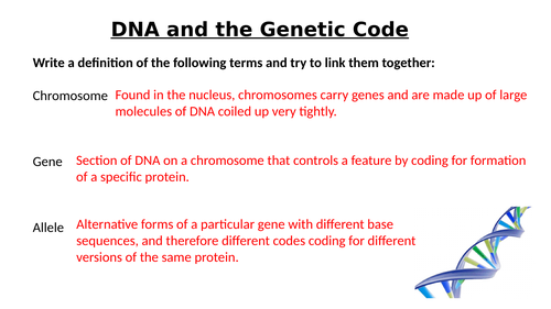 A-Level AQA Biology - Genes and Chromosomes Part 1 | Teaching Resources