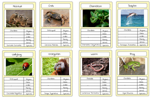 Classification Top Trumps | Teaching Resources