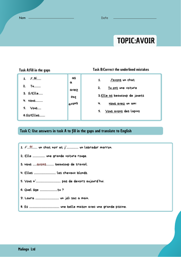 Verb AVOIR GCSE FRENCH STUDIO AQA GRAMMAR | Teaching Resources
