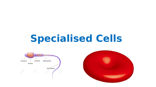 Specialised cells | Teaching Resources