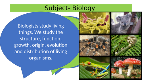 KS3 Biology Life Processes (MRS GREN) Lesson PowerPoint | Teaching ...