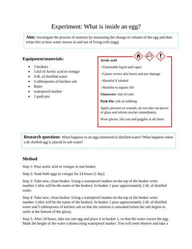 Experiment: Chicken egg | Teaching Resources