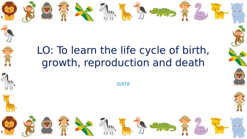 The Life Cycle of Birth, Growth, Reproduction & Death | Teaching Resources