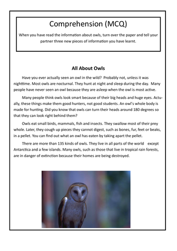NON FICTION READING COMPREHENSION About Owls | Teaching Resources