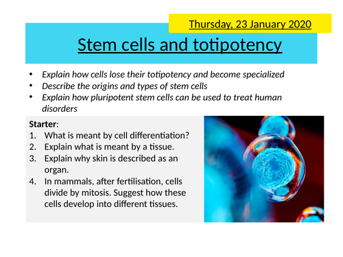 AQA 20.2 Stem cells and totipotency | Teaching Resources