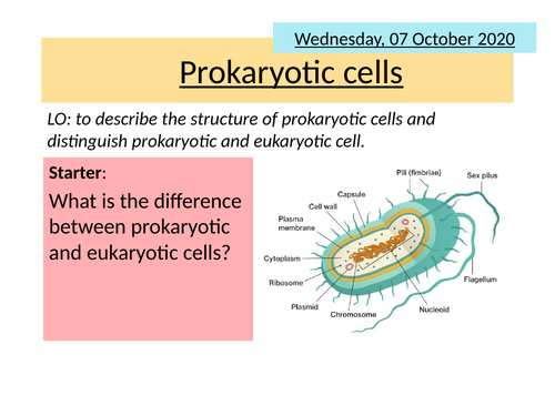 Aqa 27 Prokaryotic Cells Teaching Resources