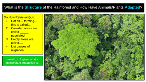 Brazil Rainforest | Teaching Resources