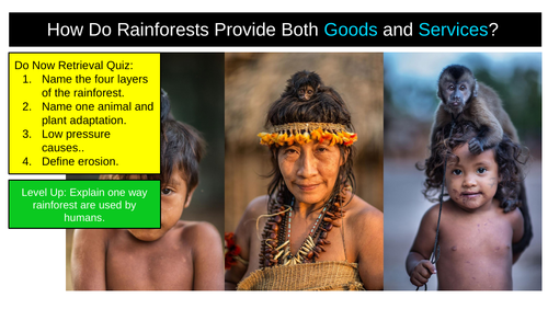 Brazil Rainforest Goods Services | Teaching Resources