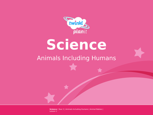 Science- Animals including humans | Teaching Resources
