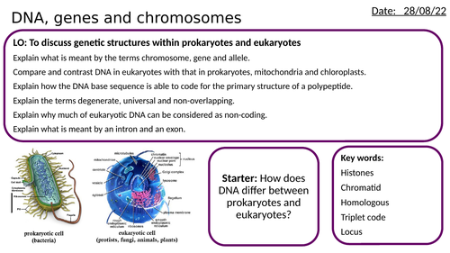 AS/A2-Level AQA Biology DNA, Genes and Chromosomes Full Lesson | Teaching Resources