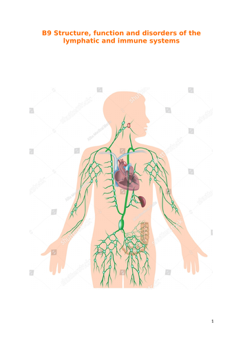 Lymphatic System Teaching Resources