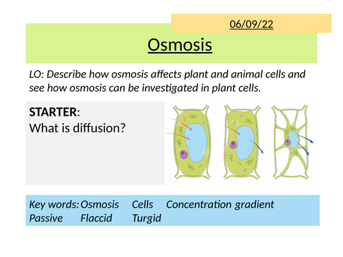 AQA Osmosis and required practical | Teaching Resources AQA Osmosis and required practical | Teaching Resources