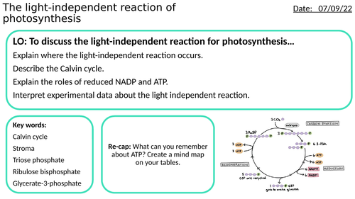AS/A2-Level AQA Biology Light independent reaction of photosynthesis ...