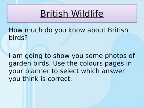 British Wildlife Lesson (PSE/PSHCE/PSHE) | Teaching Resources