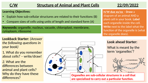 Animal and plant cells GCSE | Teaching Resources