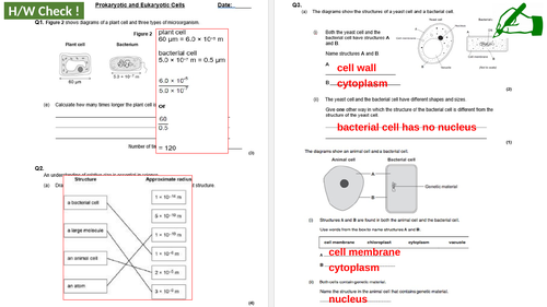 Prokaryotic and Eukaryotic cells GCSE higher | Teaching Resources