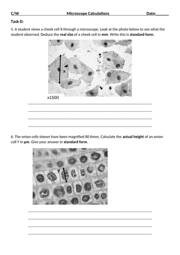 Microscope Calculations Teaching Resources