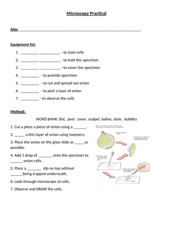 Microscopy practical (onion) GCSE HIGHER | Teaching Resources