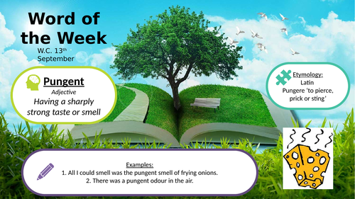 Word of the Week Bundle | Teaching Resources