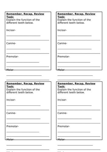 Year 4 Science Animals Unit | Teaching Resources