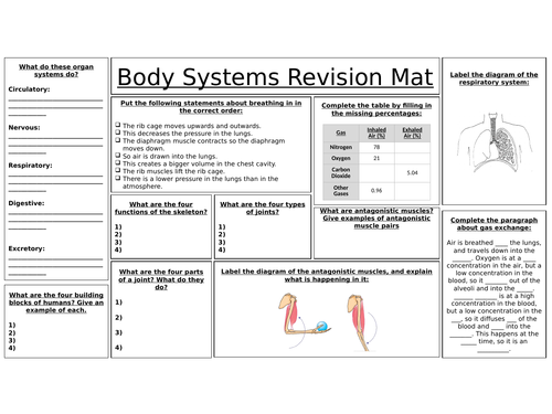 KS3 Body Systems Revision Mat | Teaching Resources
