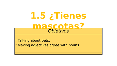 Viva 1 - Module 1.5 Tienes mascotas? | Teaching Resources