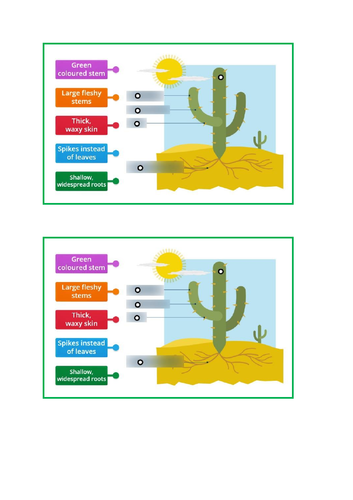 Evolution and Inheritance - plant adaptation Year 6 | Teaching Resources Evolution and Inheritance - plant adaptation Year 6 | Teaching Resources