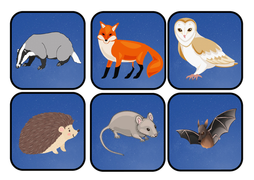 Nocturnal Animals Clipart