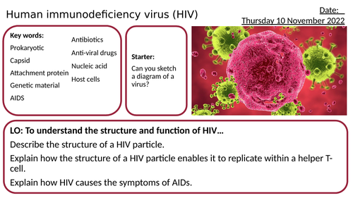 AS/A2-Level AQA Biology Human immunodeficiency virus (HIV) AIDS Immune ...
