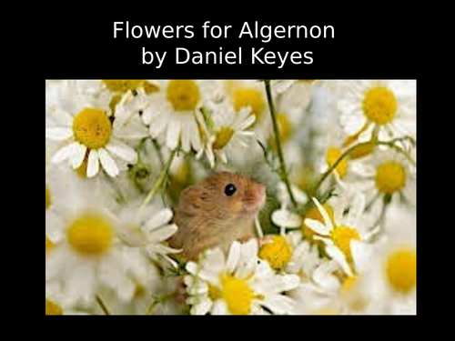 Flowers for Algernon PowerPoint | Teaching Resources