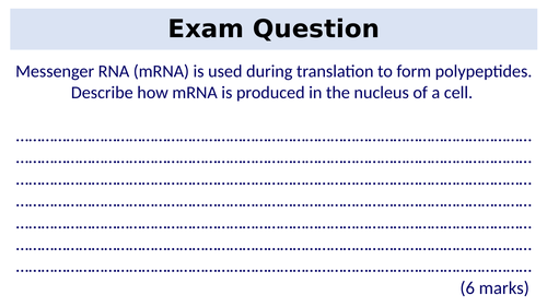 20.3 Regulation of Transcription & Translation | Teaching Resources