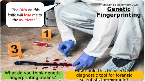 21.5 Genetic Fingerprinting | Teaching Resources