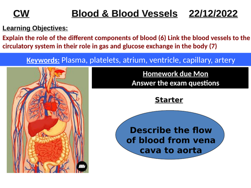 Blood and blood vessels | Teaching Resources