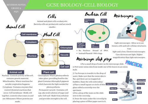 GCSE BIOLOGY AQA revision notes- Cell Biology-Grade 9 revision notes ...