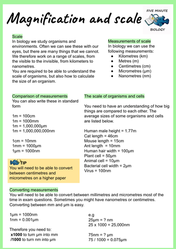 AQA GCSE Biology Magnification and Scale Revision Sheet | Teaching ...