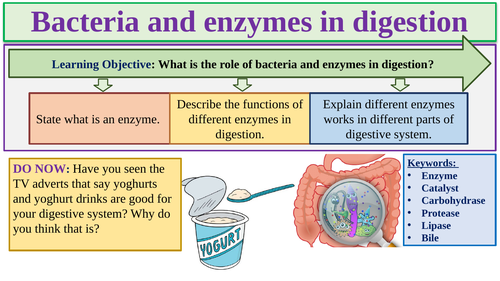 Secondary micro organisms resources