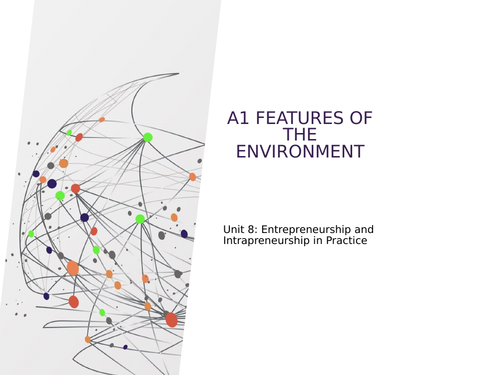 Unit 8 Intrapreneurship Bundle | Teaching Resources