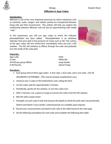 Agar Cubes SA Vol ratio Practical | Teaching Resources