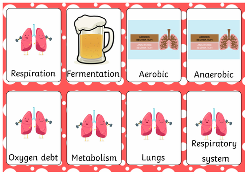 GCSE Biology Flashcards - Respiration | Teaching Resources
