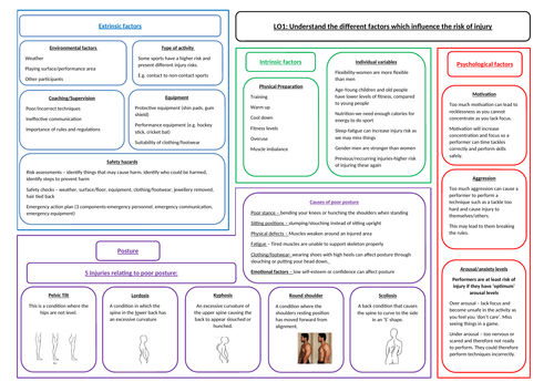 OCR Sport Science R041 Exam revision organiser and question sheets ...