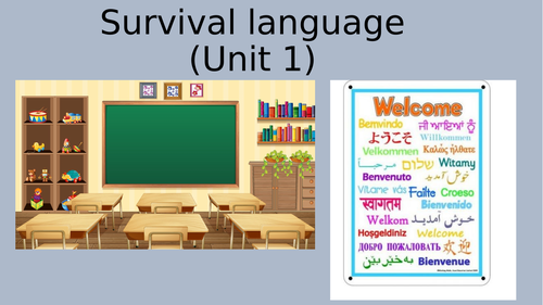 EAL survival vocabulary | Teaching Resources
