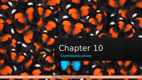 Ict 0417 Chapter 10 Teaching Resources