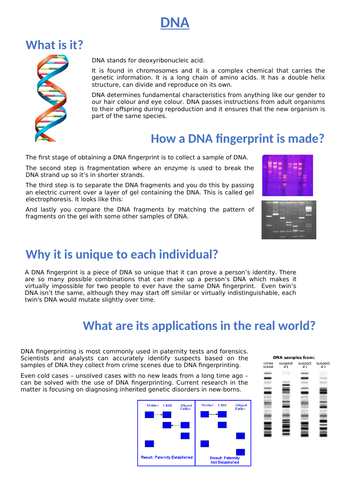 DNA Factfile for GCSE Biology | Teaching Resources