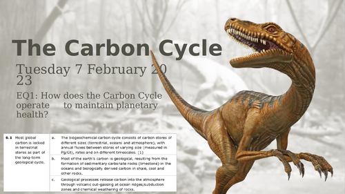 Introduction To The Carbon Cycle Teaching Resources