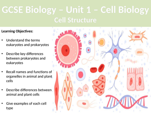 Aqa Gcse Biology Cell Structure Lesson Teaching Resources