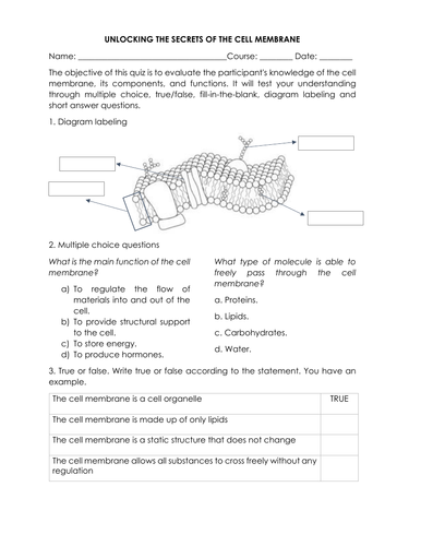 Cell Membrane Worksheet Components Of The Cell Membrane | Definition