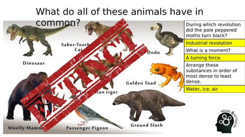 Extinction | Teaching Resources