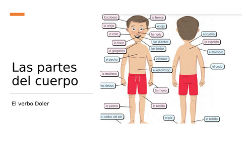 El verbo Doler- las partes del cuerpo | Teaching Resources