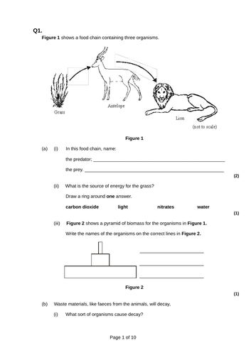 Ecosystems lesson | Teaching Resources