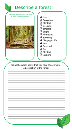 Mini descriptive task | Teaching Resources